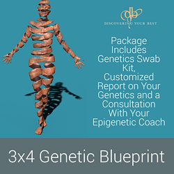 3X4 Genetic Blueprint DNA kit and Results Consultation - Discovering ...